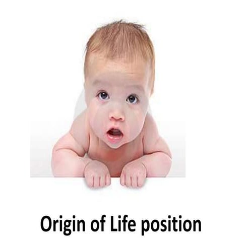 186. origin of life positions | PPTX