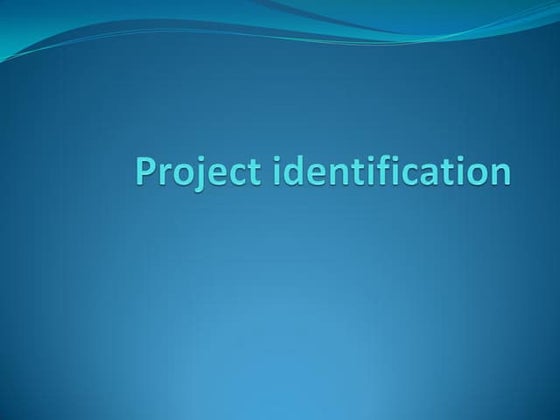 The Preliminary Project Report | PDF