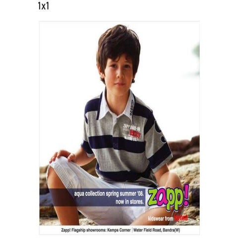 zapp campaigns | PPT