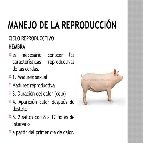 187836479-Manejo-de-la-reproduccion.pptx