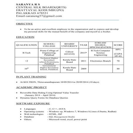 saru | PDF | Programming Languages | Computing