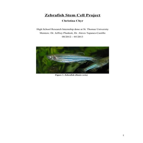 Neurological Understanding of Zebrafish | DOC