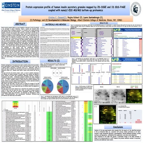 ASCB poster | PPT