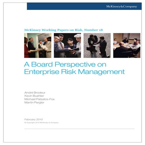 A Board Perspective on Enterprise Risk Management | PDF