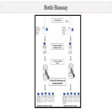 Bottle Bioassay complete presentation about it! | PPTX