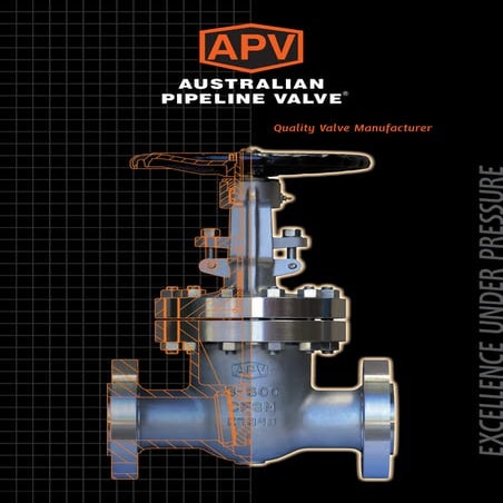APV Corporate Profile Brochure | PDF