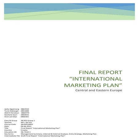International Marketing Plan | PDF