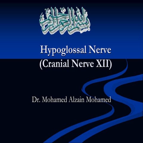 (18)hypoglossal nerve | PPTX