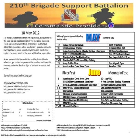 Org day flyer | PPTX