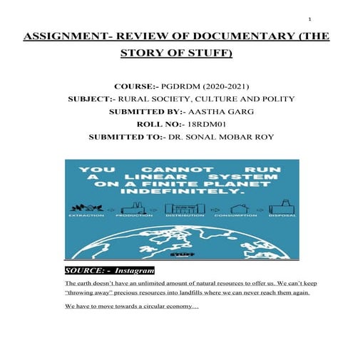 review on THE STORY OF STUFF | PDF