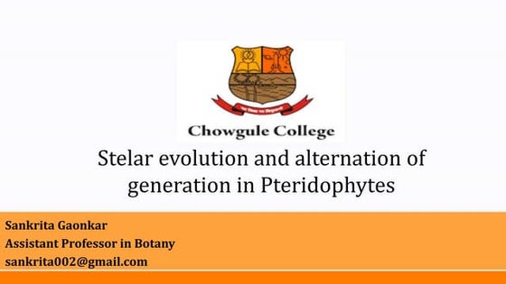 Stelar System, Stele, its types and evolution | PPTX