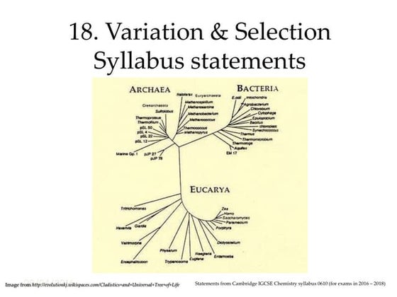 19 syllabus statements | PPT