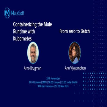Containerising The Mule Runtime With Kubernetes And From Zero To Batch Mulesoft Virtual Muleys 1357