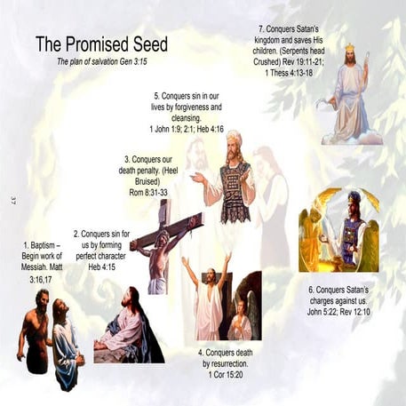 18) The Promised Seedsssssssssssssss.ppt