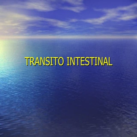 18 Transito Intestinal | PPS