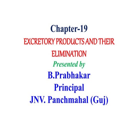 19. Excretory Products and their Elimination | PPT
