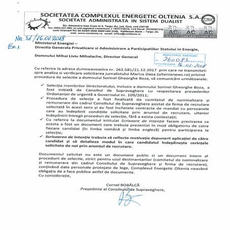 Raspuns Ministerul Energiei | PDF