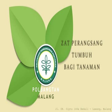 Zat Perangsang Tumbuh (ZPT) tanaman | PPTX
