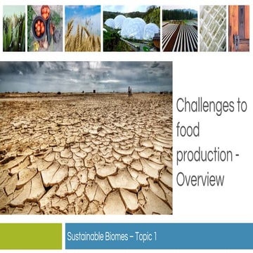 19. challenges to food production (THOP) | PPTX
