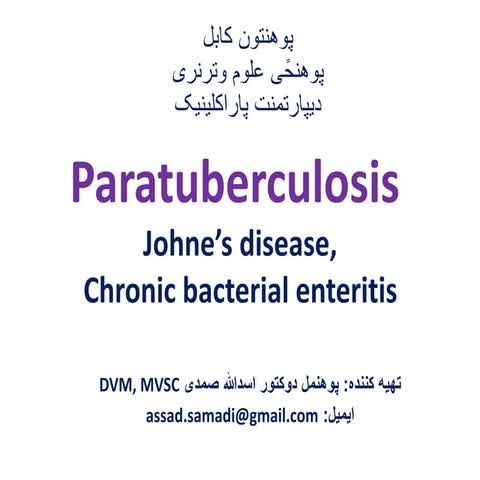19. john's disease | PDF