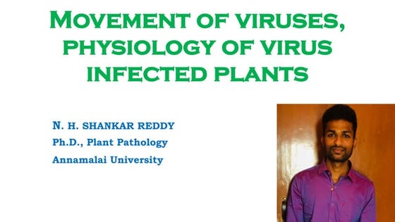 Transmission of plant viruses | PPTX | Infectious Diseases | Diseases ...