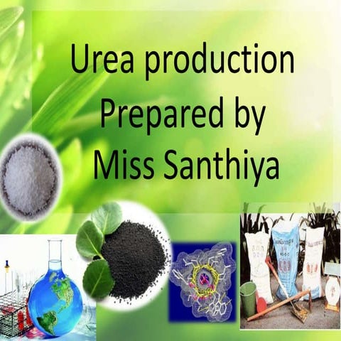 Urea production prepared | PPTX