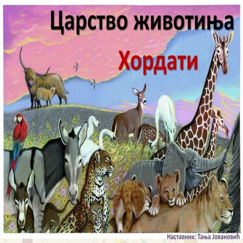 Hordati; Cefalohordati (Kopljaši) | PPT