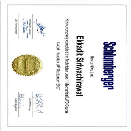 LWD level 1 cert. | PDF