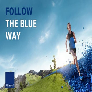 THE BLUE WAY by BLUESIGN | PDF