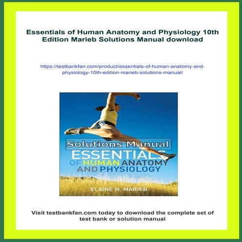 Essentials of Human Anatomy and Physiology 10th Edition Marieb ...