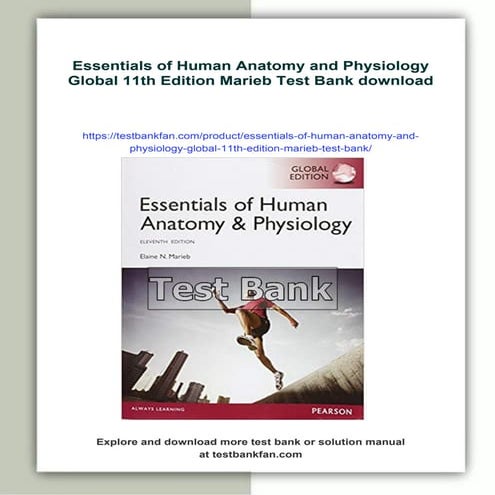 Essentials of Human Anatomy and Physiology Global 11th Edition Marieb ...
