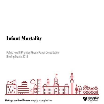 Overview of Infant Mortality | PPT