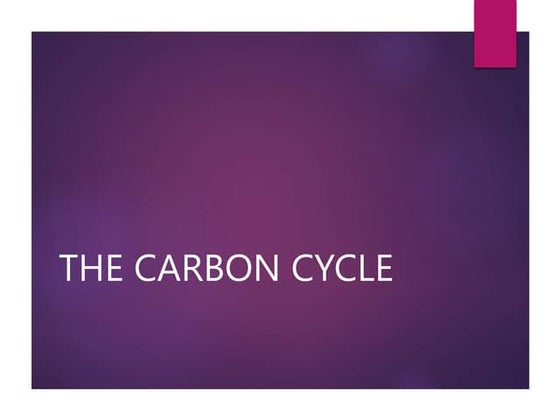 Carbon cycle | PPTX | Chemistry | Science