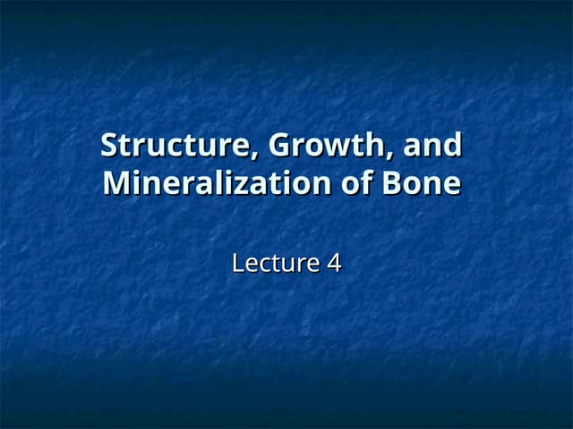 1 Bone Structure and Composition | PPTX | Bone and Joint Conditions | Diseases and Conditions