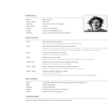 Curriculum Vitae 2020 | PDF