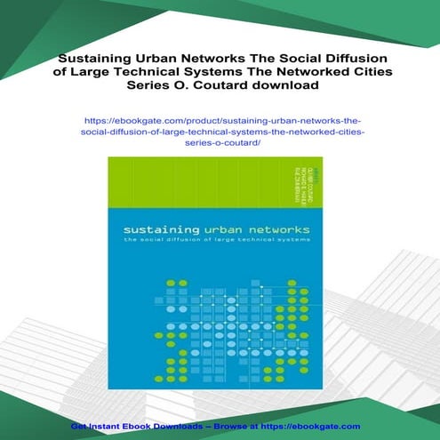 Sustaining Urban Networks The Social Diffusion of Large Technical ...