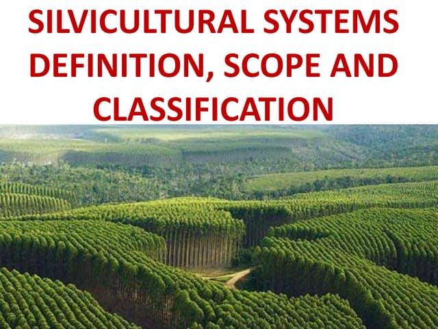 Silvicultural systems | PPT