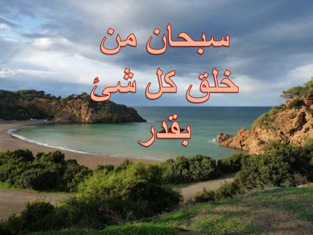 Pre-Analytical and Post analytical phase | PDF