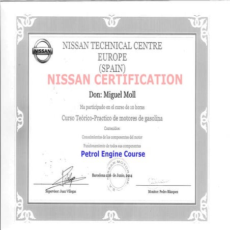 NISSAN PETROL ENGINE CERTIFICATE | PDF