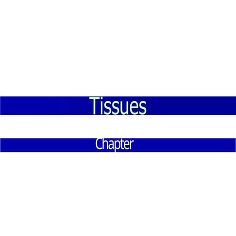 1929717162 Tissue Pptx
