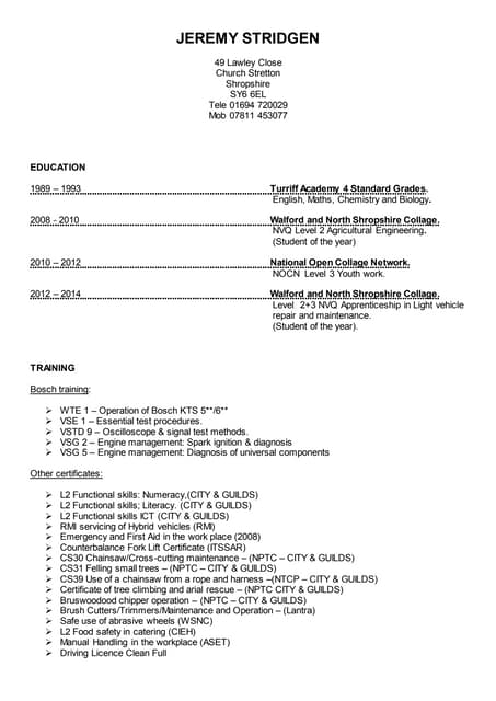 CV Florian Leuce | PDF