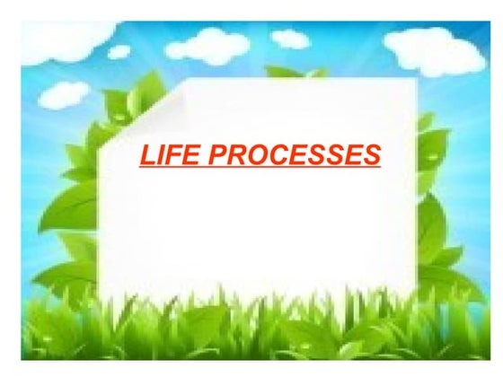 Life Processes Class 10th PPT | PPTX | Lung and Respiratory Health ...
