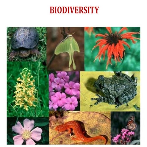 Environmental studies | ODP | Biological Sciences | Science