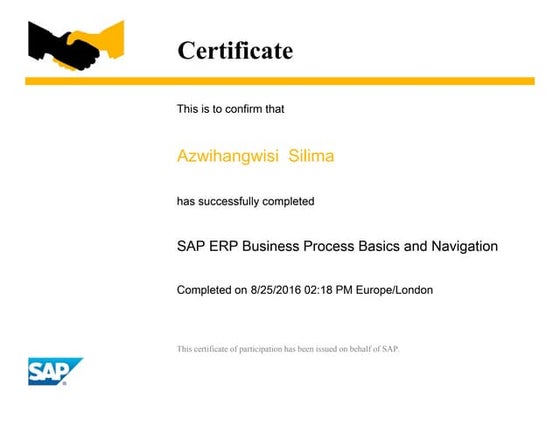 SAP B1 Certificate | PDF