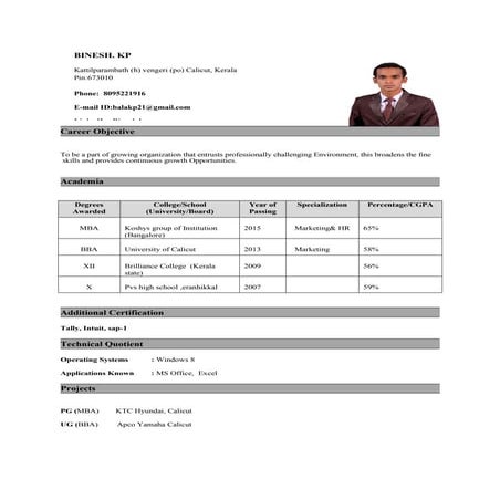 binesh new resume | PDF