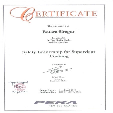 Leaders toward Safety and Certificates | PDF
