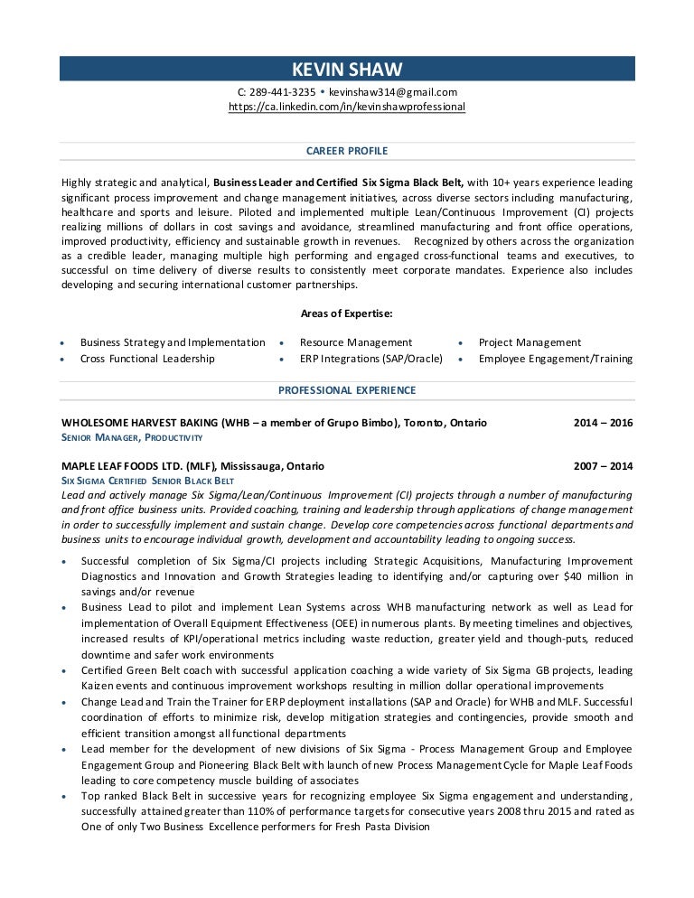 Kevin Shaw Professional Resume