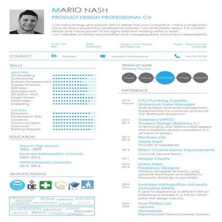 Mario_CV | PDF