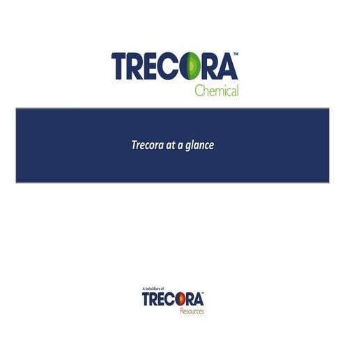 100615Trecora Chemical presentation_1 | PDF