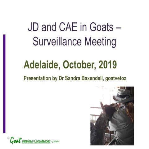 CAE and Johne's disease in goats | PDF